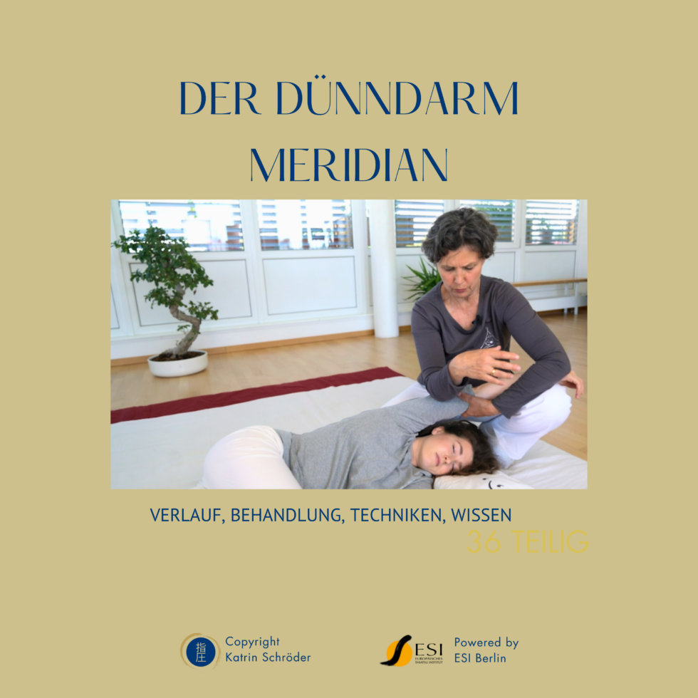 Der Dünndarm-Meridian - Shiatsu Shop
